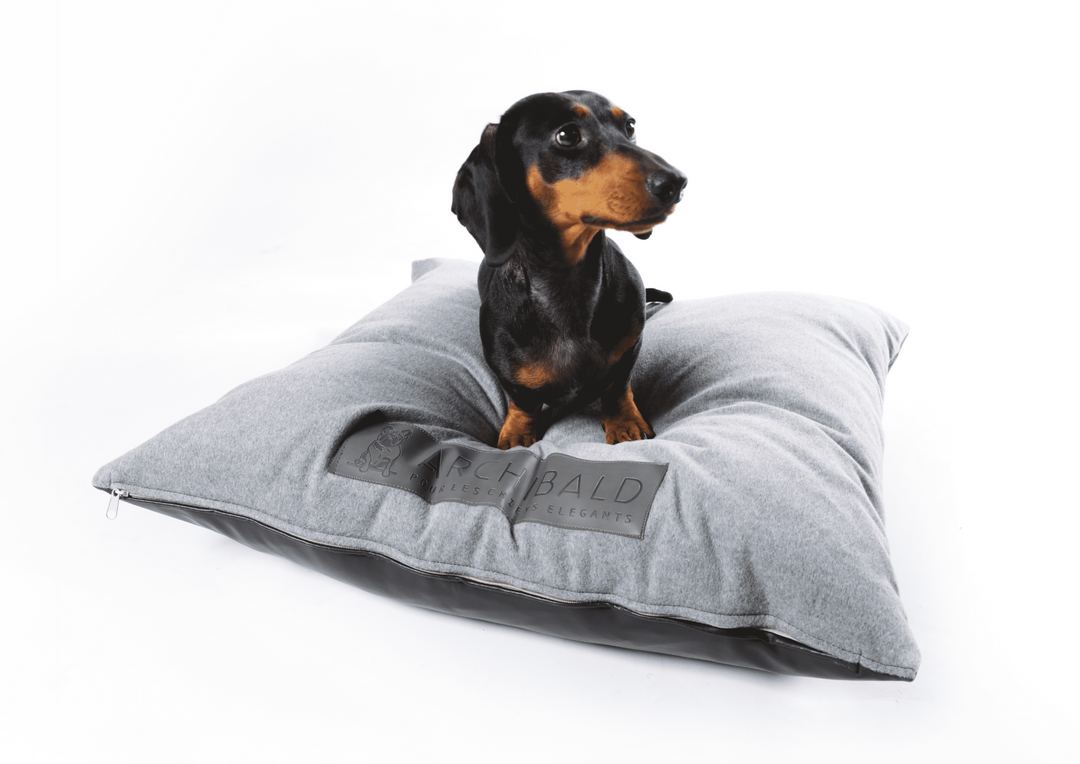Coussins pour chiens et accessoires | Archibald Paris – Archibald-paris