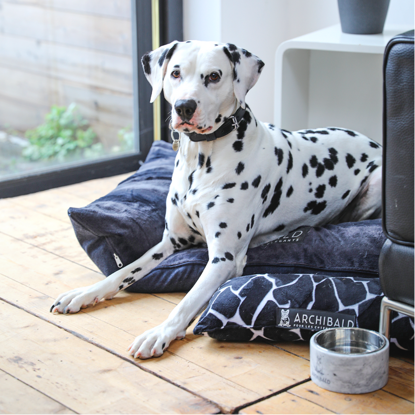 Coussins pour chiens et accessoires | Archibald Paris – Archibald-paris