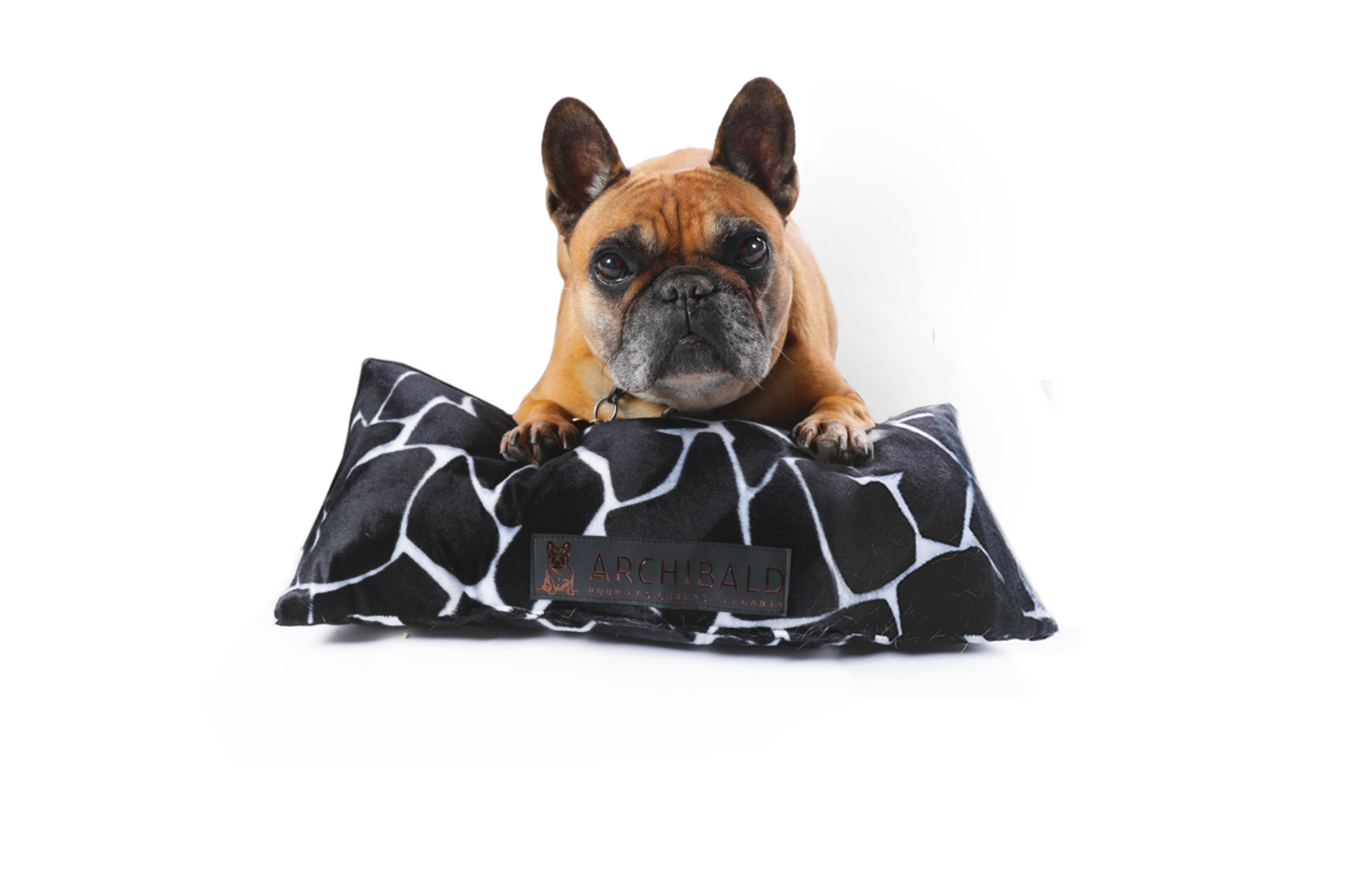Coussins pour chiens et accessoires | Archibald Paris – Archibald-paris