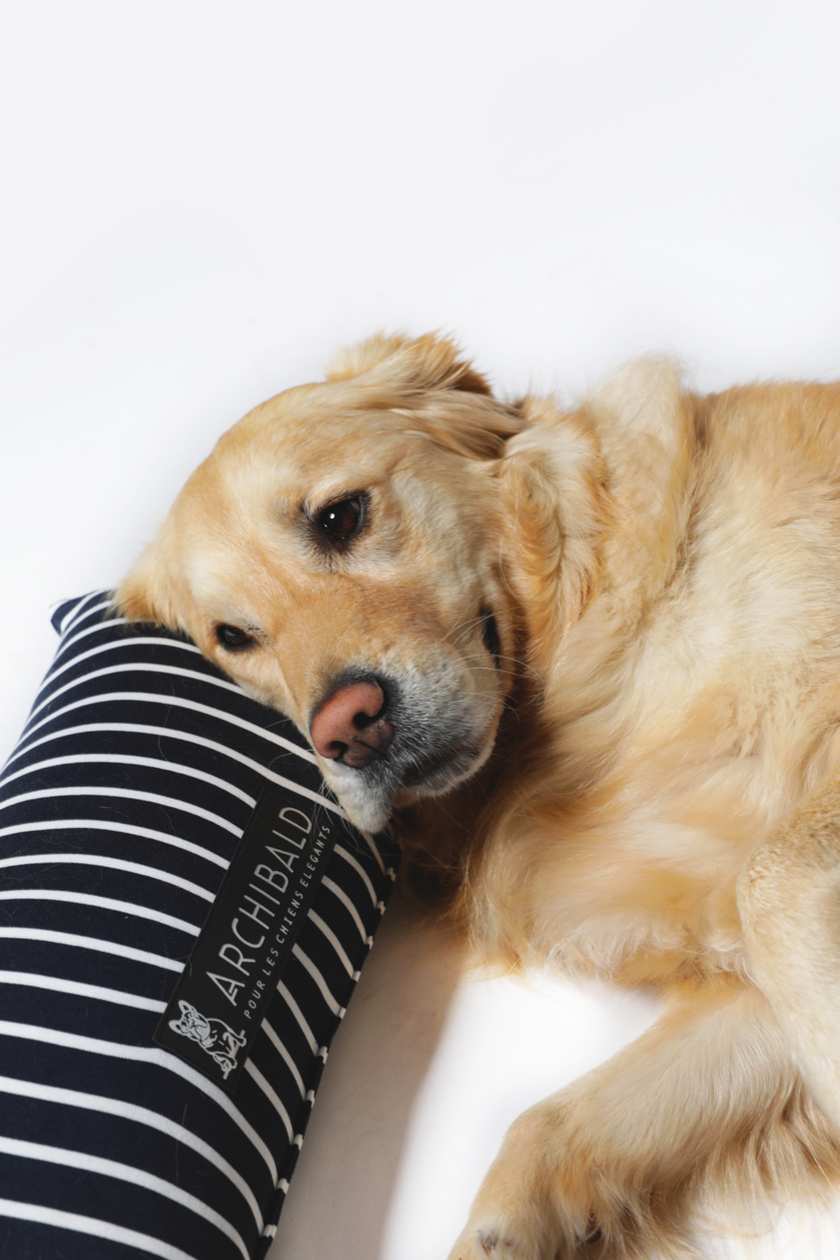 Coussins pour chiens et accessoires | Archibald Paris – Archibald-paris