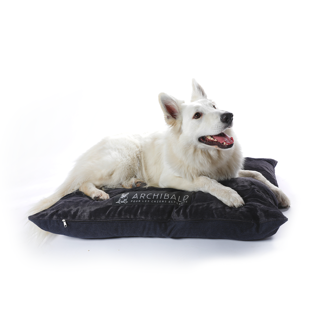 Coussins pour chiens et accessoires | Archibald Paris – Archibald-paris